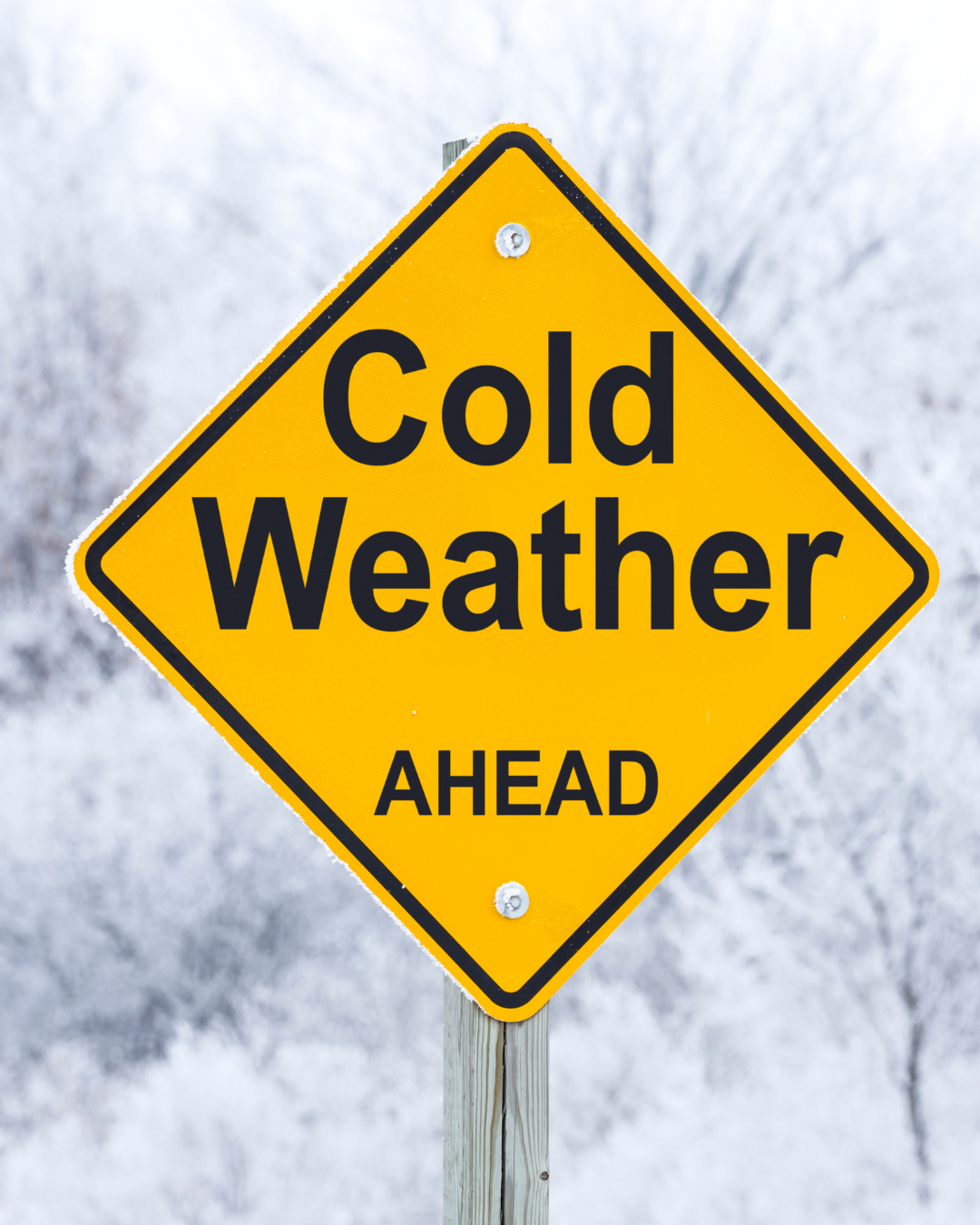 ALONE urges older people to seek support during cold snap and ...